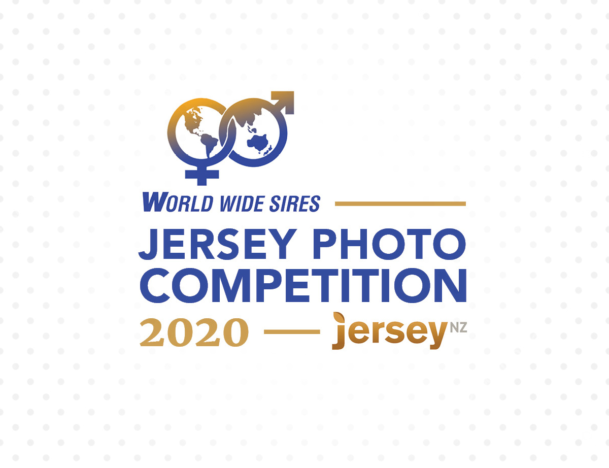 WWS Photo Competition – 2020 Results - Jersey