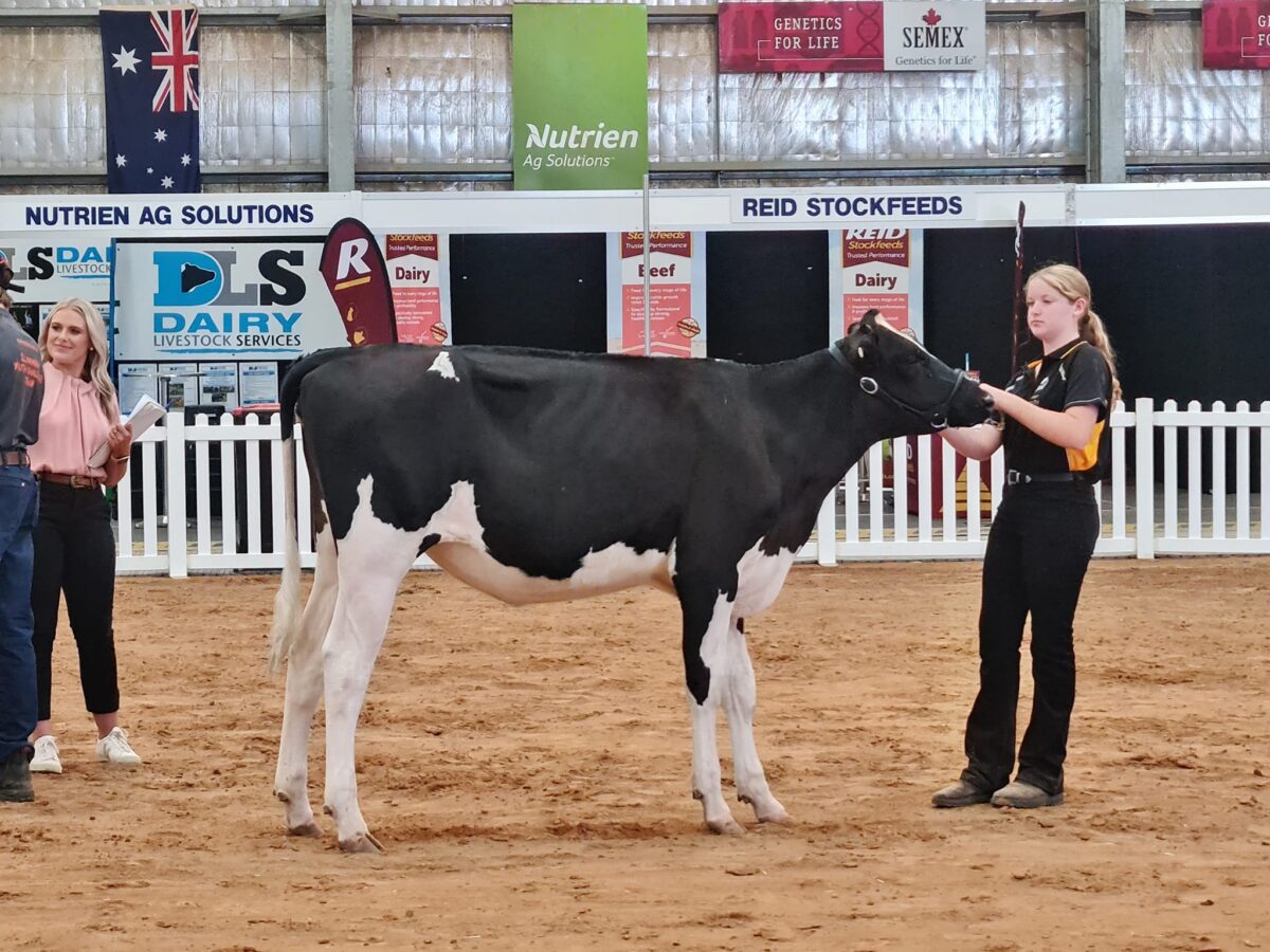 International Dairy Week – Update - Jersey