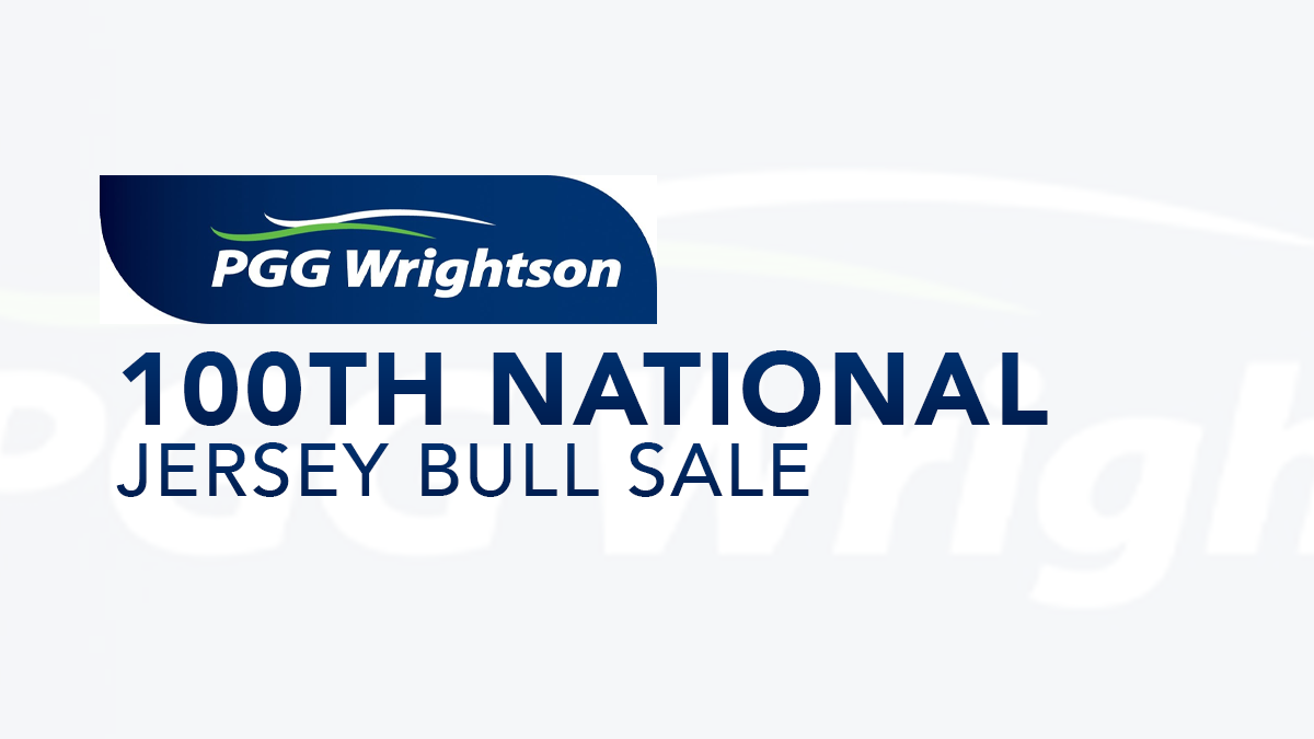 PGG Wrightson LTD 100th National Jersey Bull Sale - Jersey